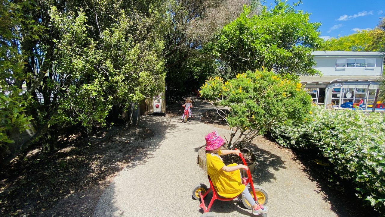 Pohutukawa Room – Preschool | Albany Daycare